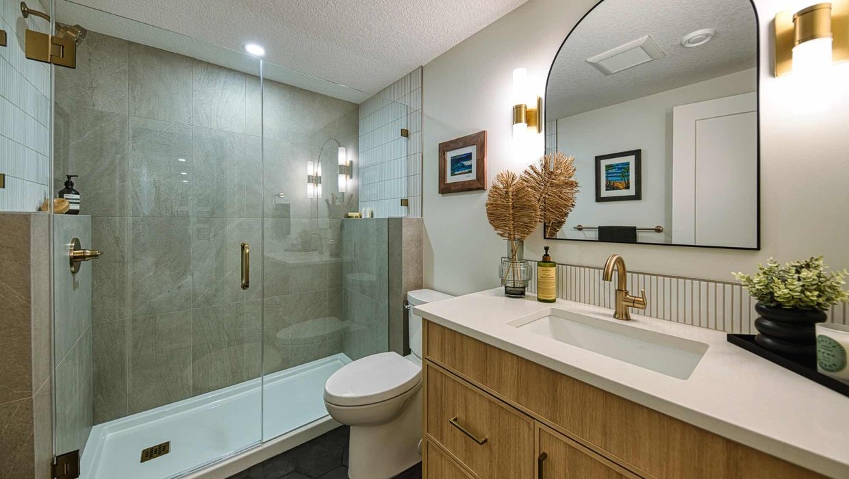 Chinook Park Basement Development